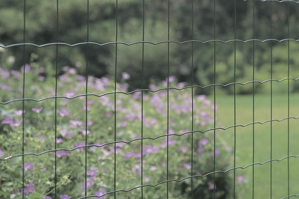 Groen Gaas Bestellen | Wil jij Groen Gaas Bestellen?