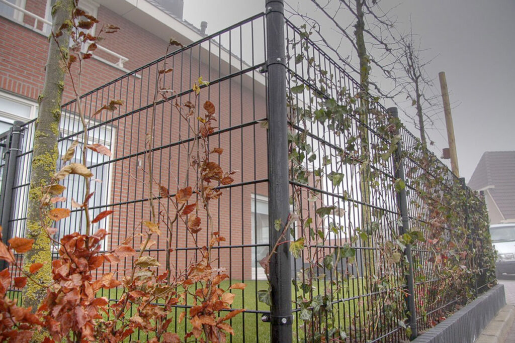 Gaas voor Klimplanten - Afrastering